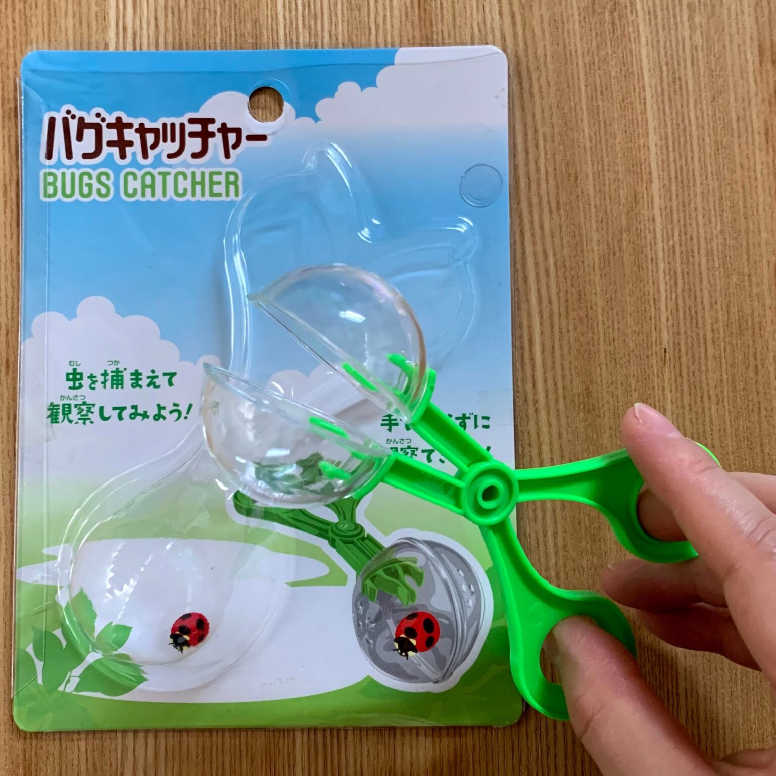 100円ショップで販売中のバグキャッチャーを紹介、昆虫が触れない人におすすめ！昆虫観察のための神アイテム｜seria